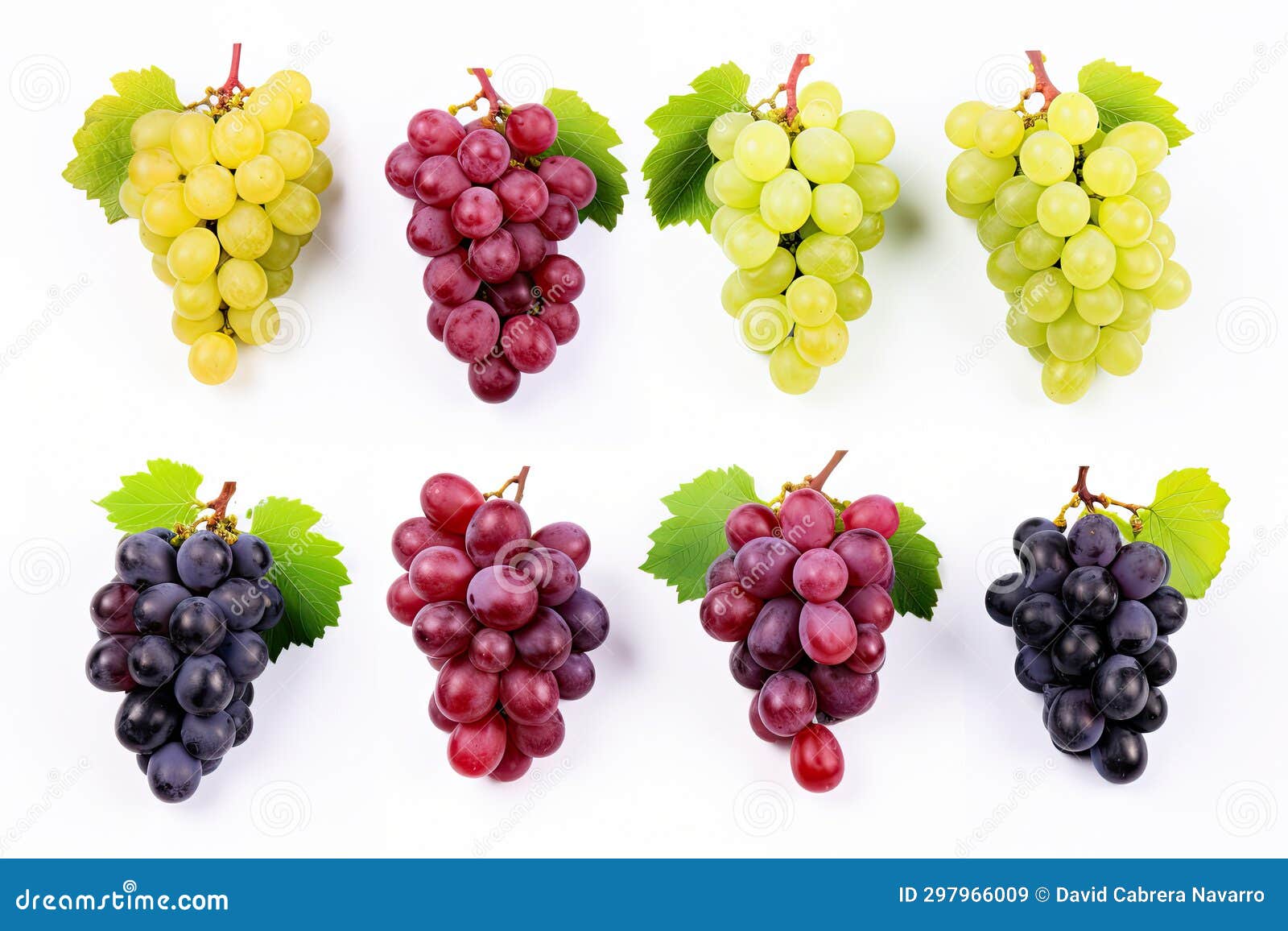 Different Types of Grapes of Various Colors Isolated on White ...