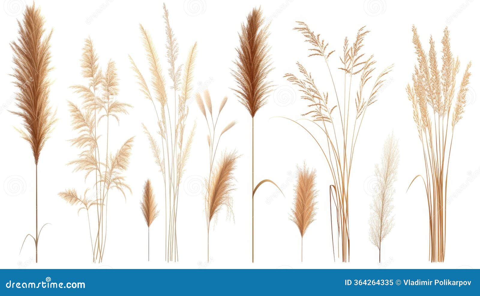 Types Of Landscaping And Decorations Garden Paths Stock Image ...