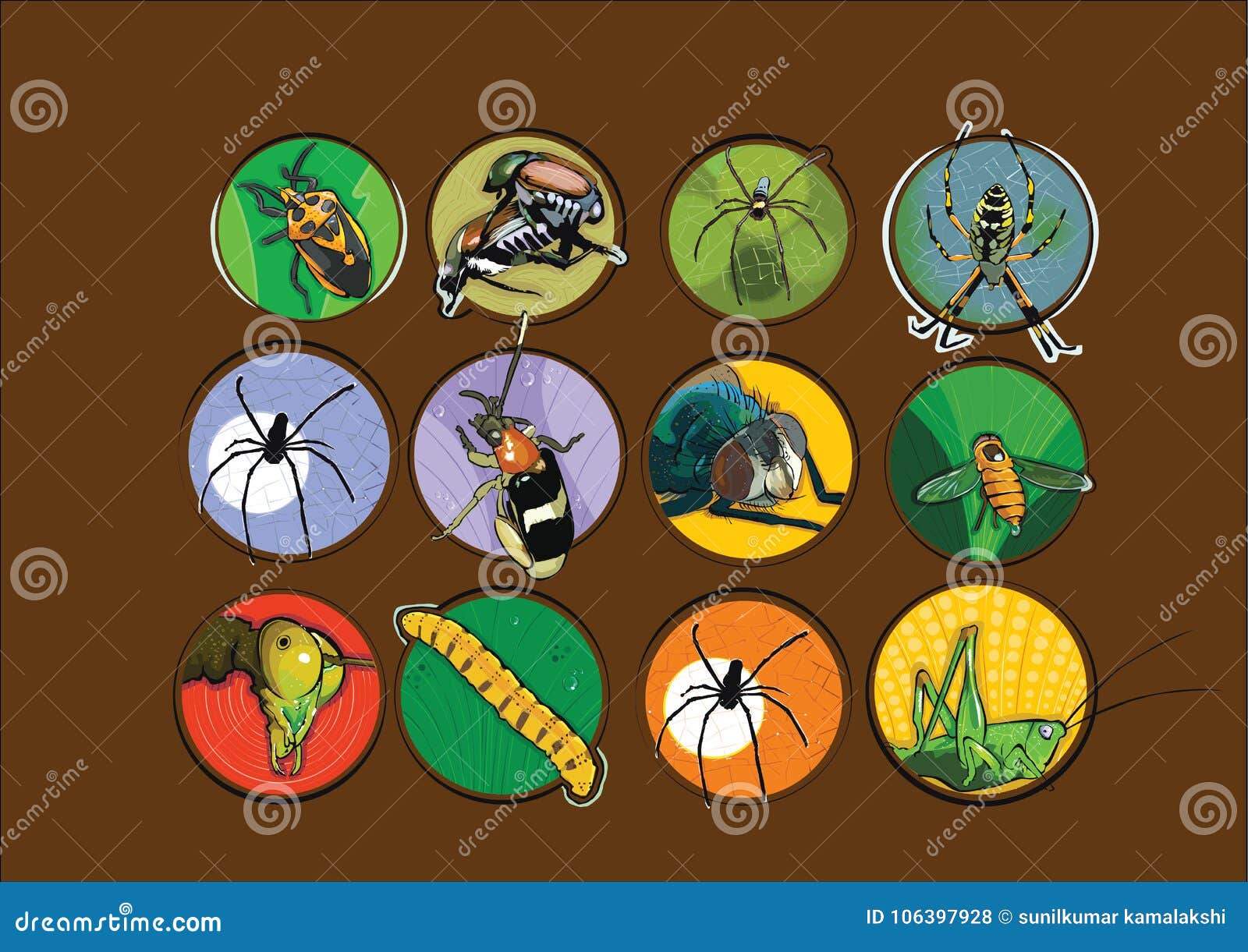 Different Types Insects Illustration Vector Stock Vector - Illustration ...