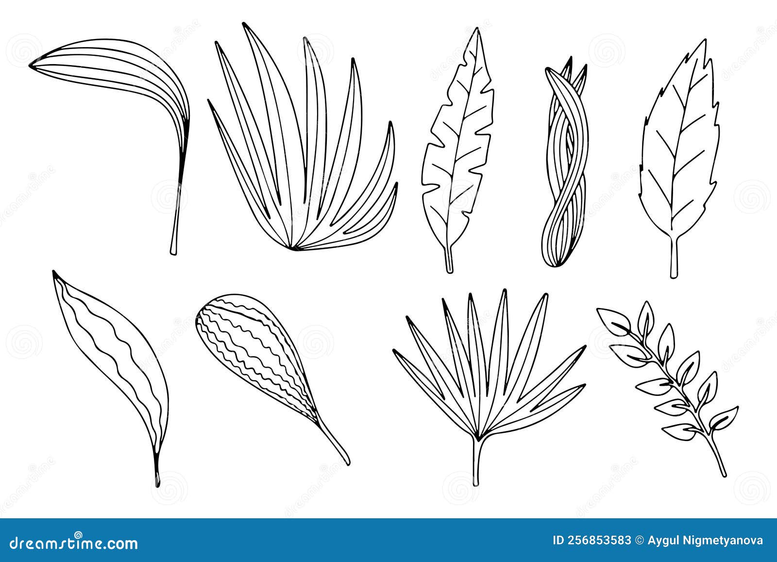Different Types of Leaves Isolated on White Background. Vector Palm ...