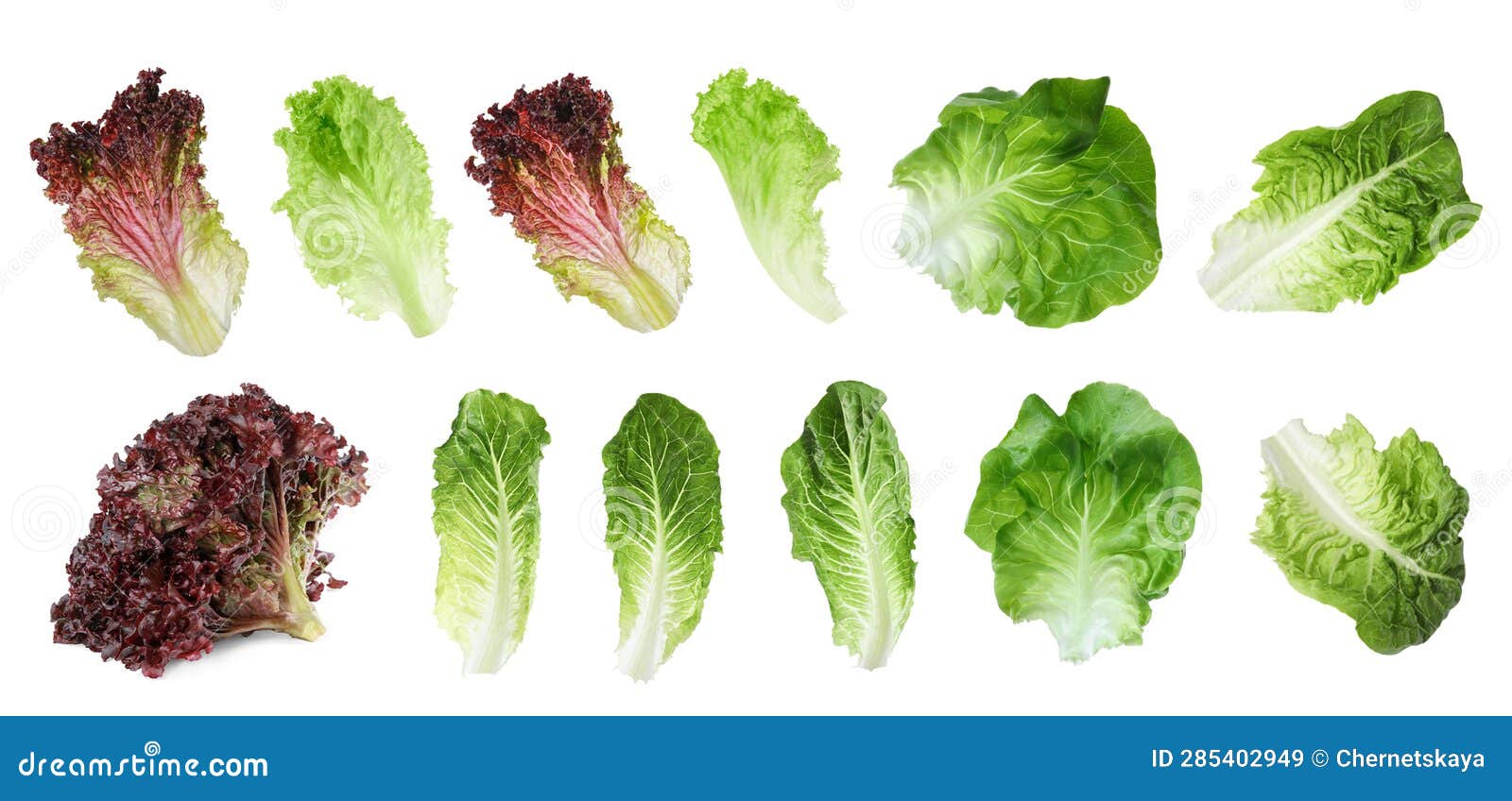 Different Types of Lettuce Isolated on White, Collage Design Stock ...