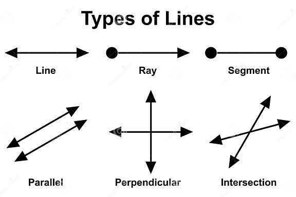 Different Types of Lines in Mathematics Stock Illustration ...
