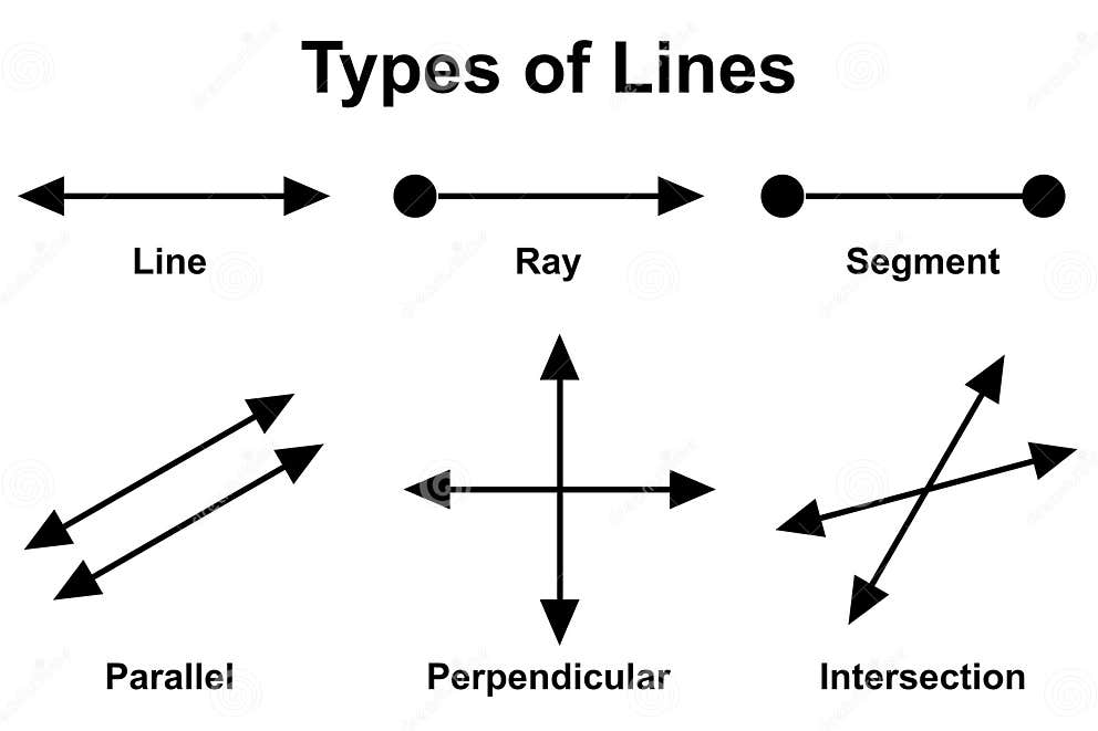 Different Types of Lines in Mathematics Stock Illustration ...