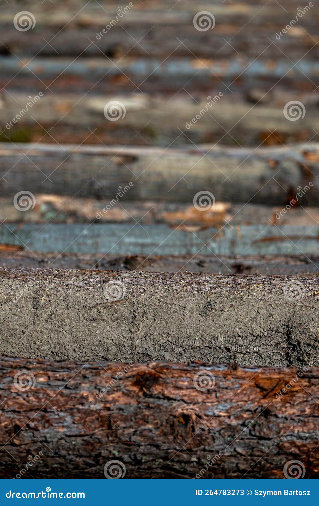 Different Types of Logs in a Timber Yard Stock Image - Image of ...