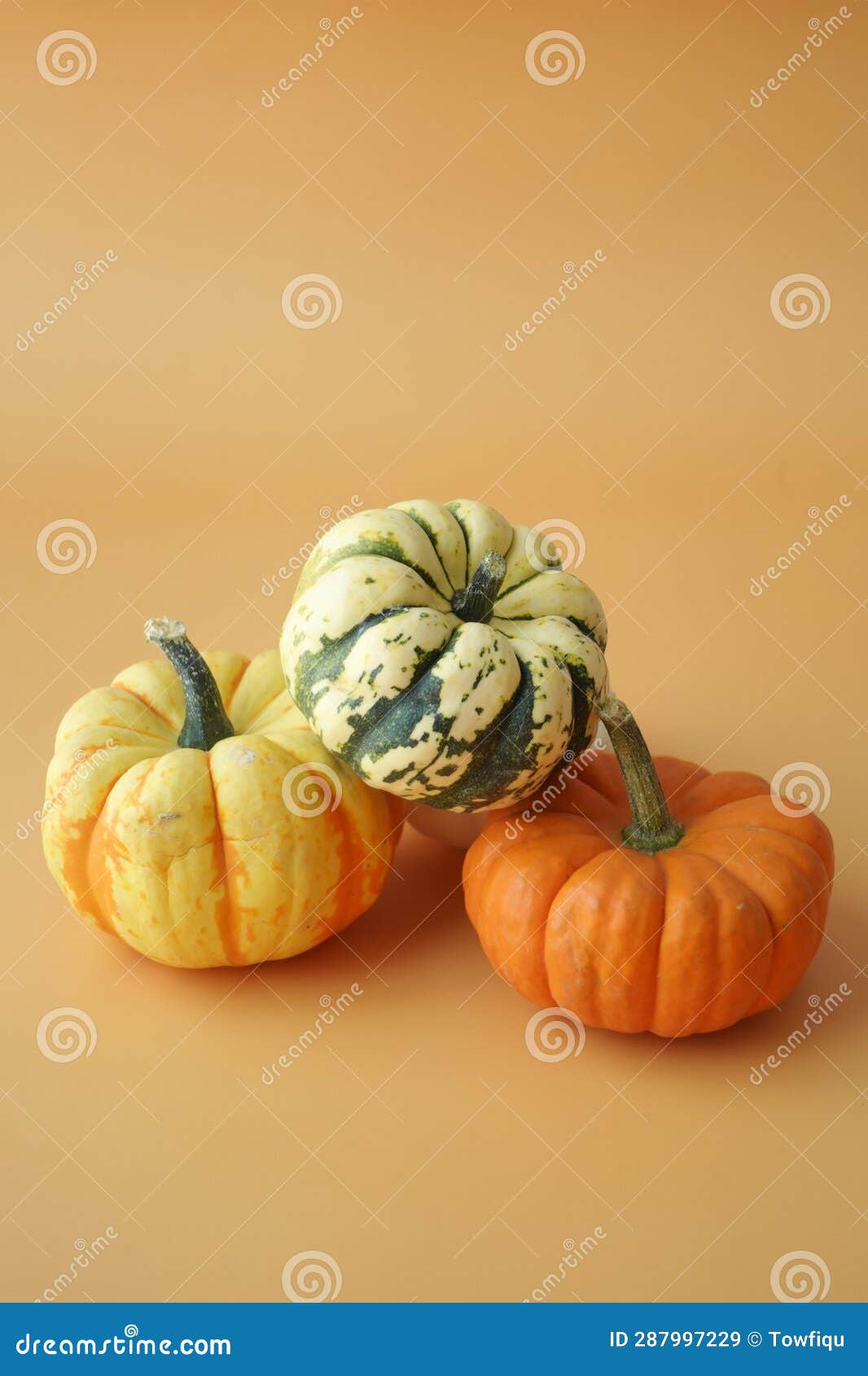 Different Types of Mini Pumpkins Color Background Stock Image - Image ...
