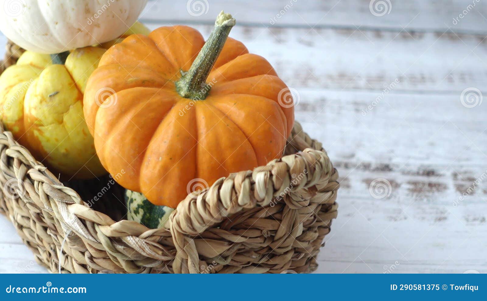 Different Types of Mini Pumpkins Color Background Stock Video - Video ...