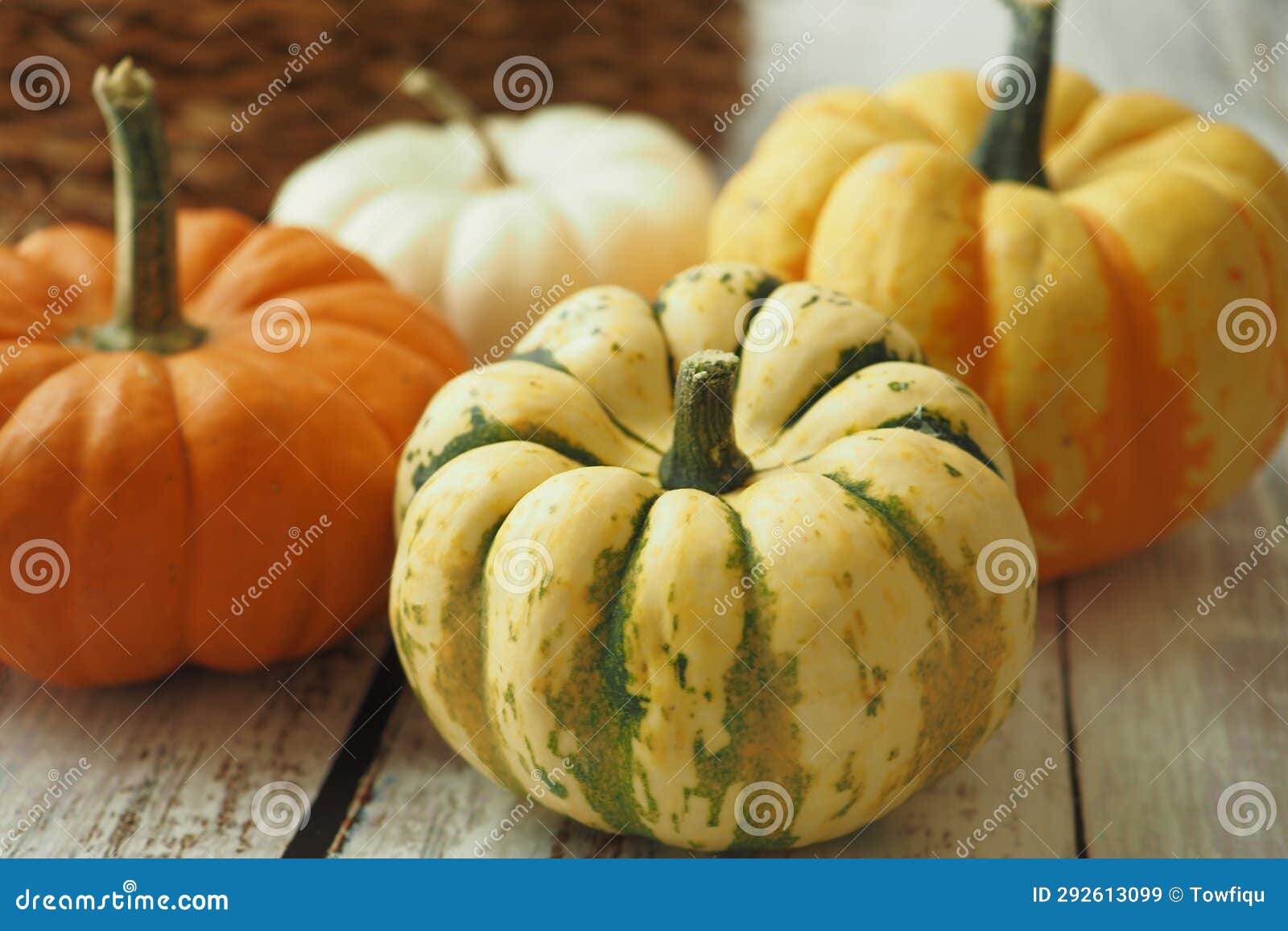 Different Types of Mini Pumpkins Color Background Stock Image - Image ...