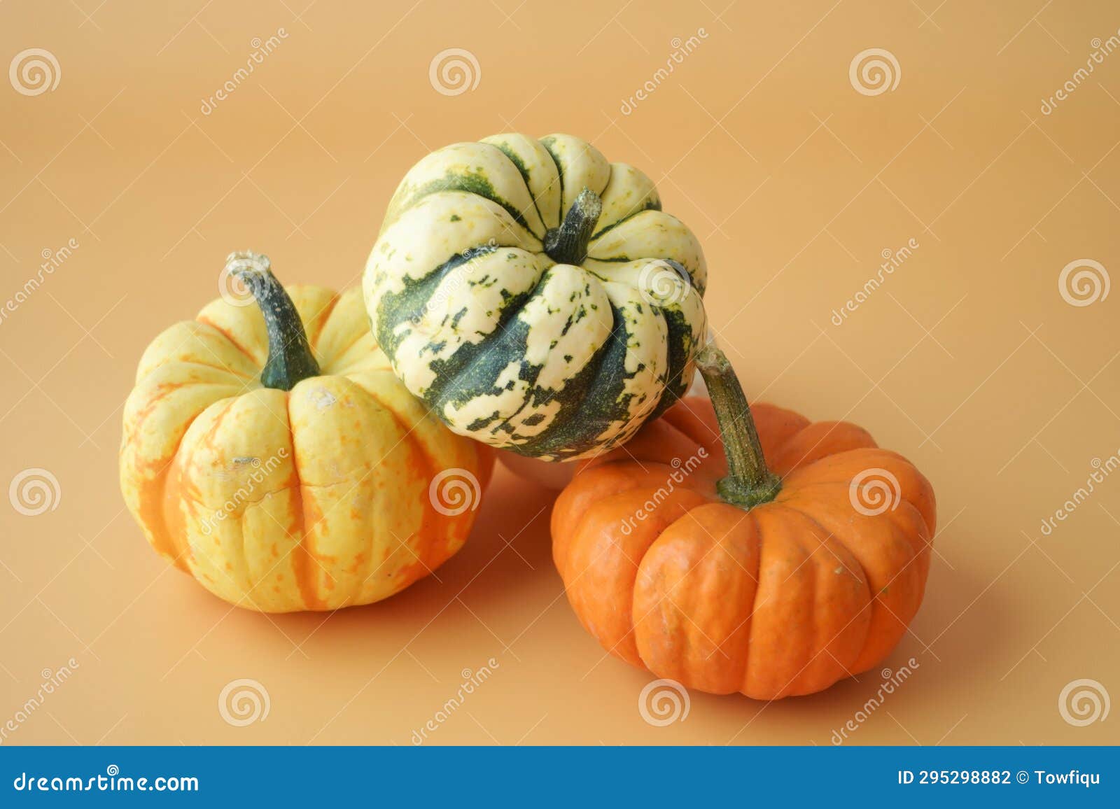 Different Types of Mini Pumpkins Color Background Stock Photo - Image ...