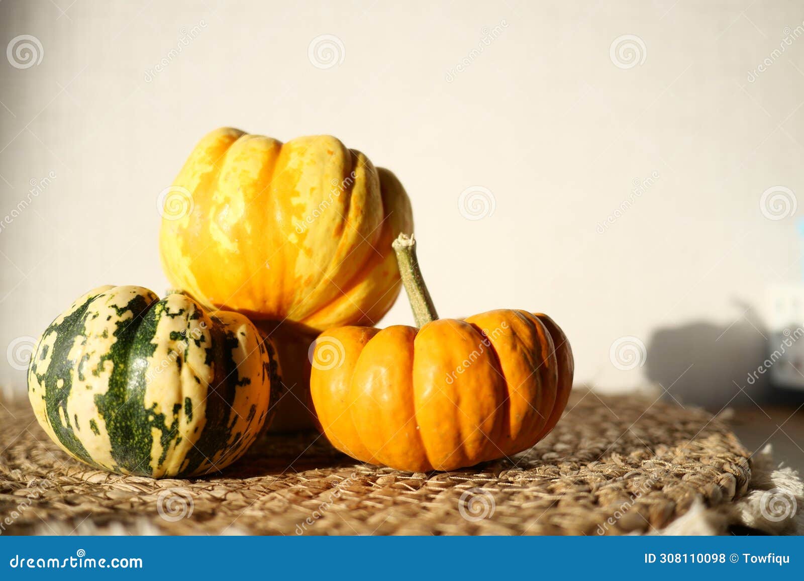 Different Types of Mini Pumpkins Color Background Stock Photo - Image ...