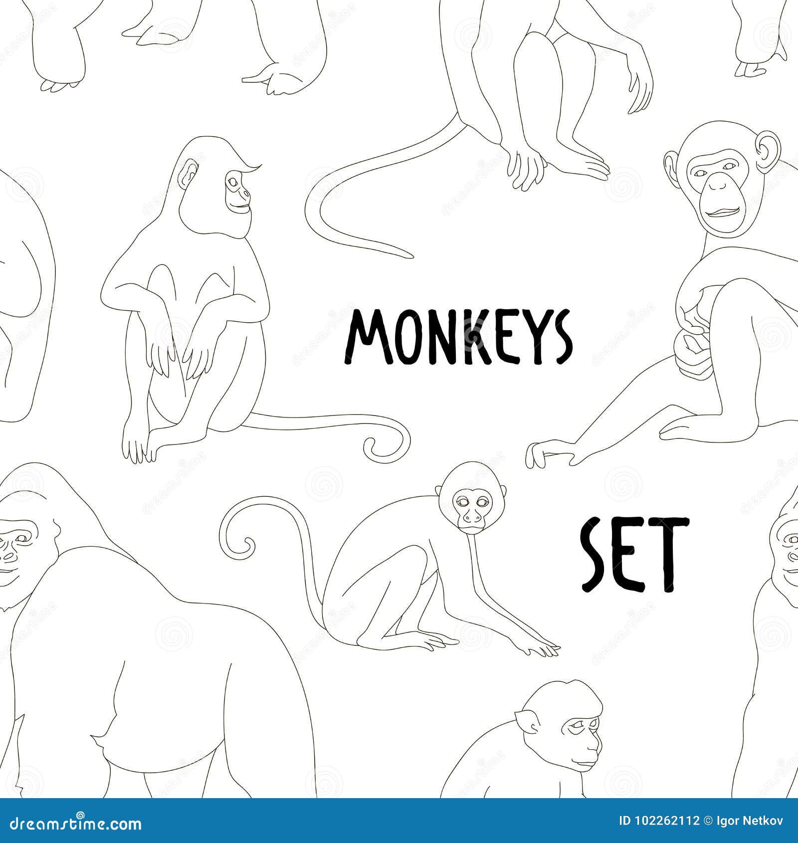 Different Types of Monkeys Pattern Stock Vector - Illustration of ...