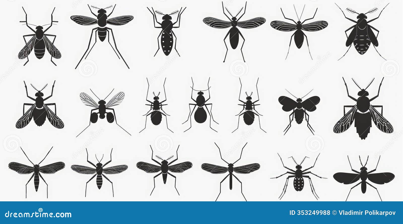 Different Types of Mosquitos in One Image, Ideal for Educational ...