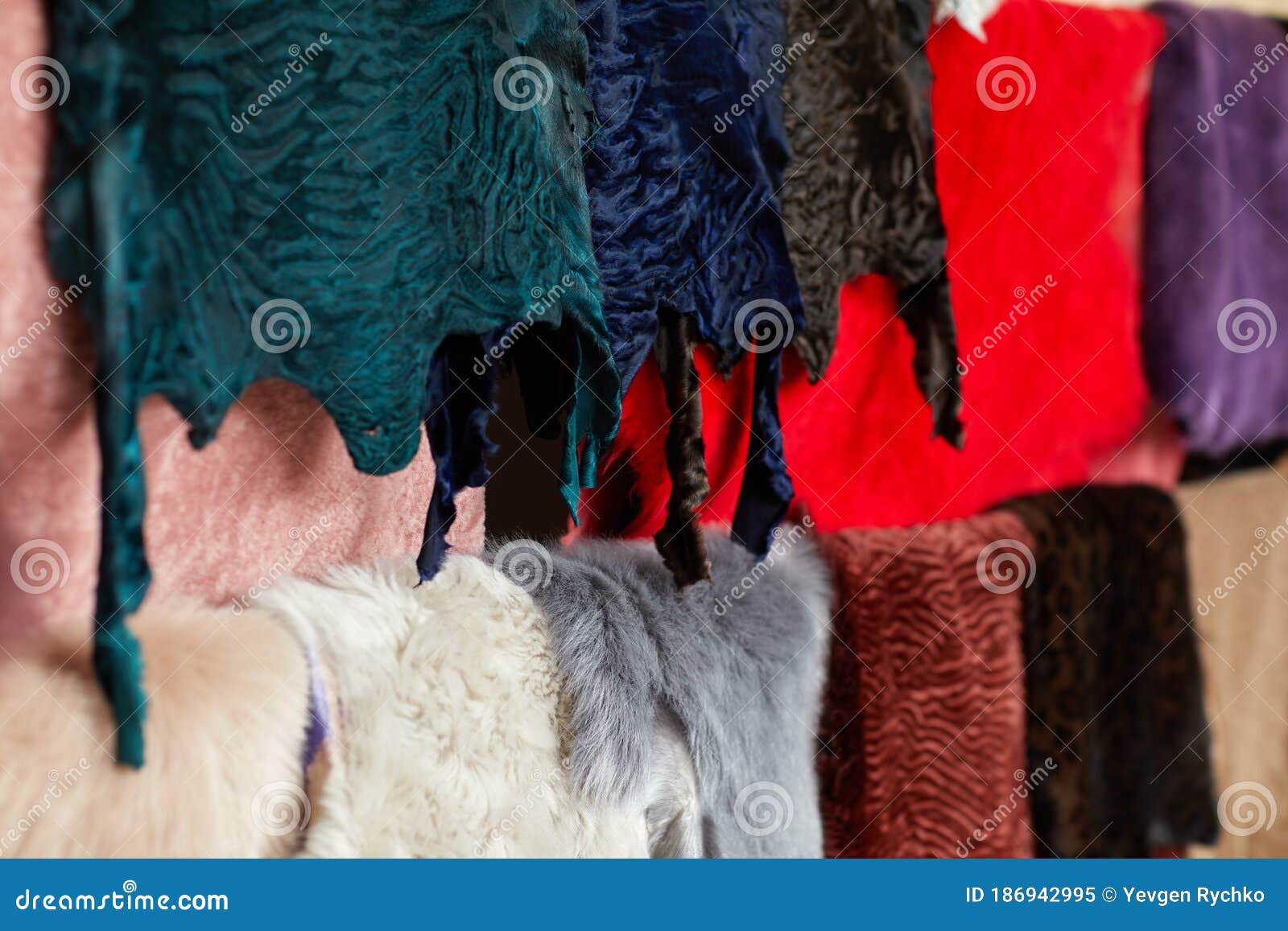Multi-colored fur skins. stock image. Image of shop - 186942995