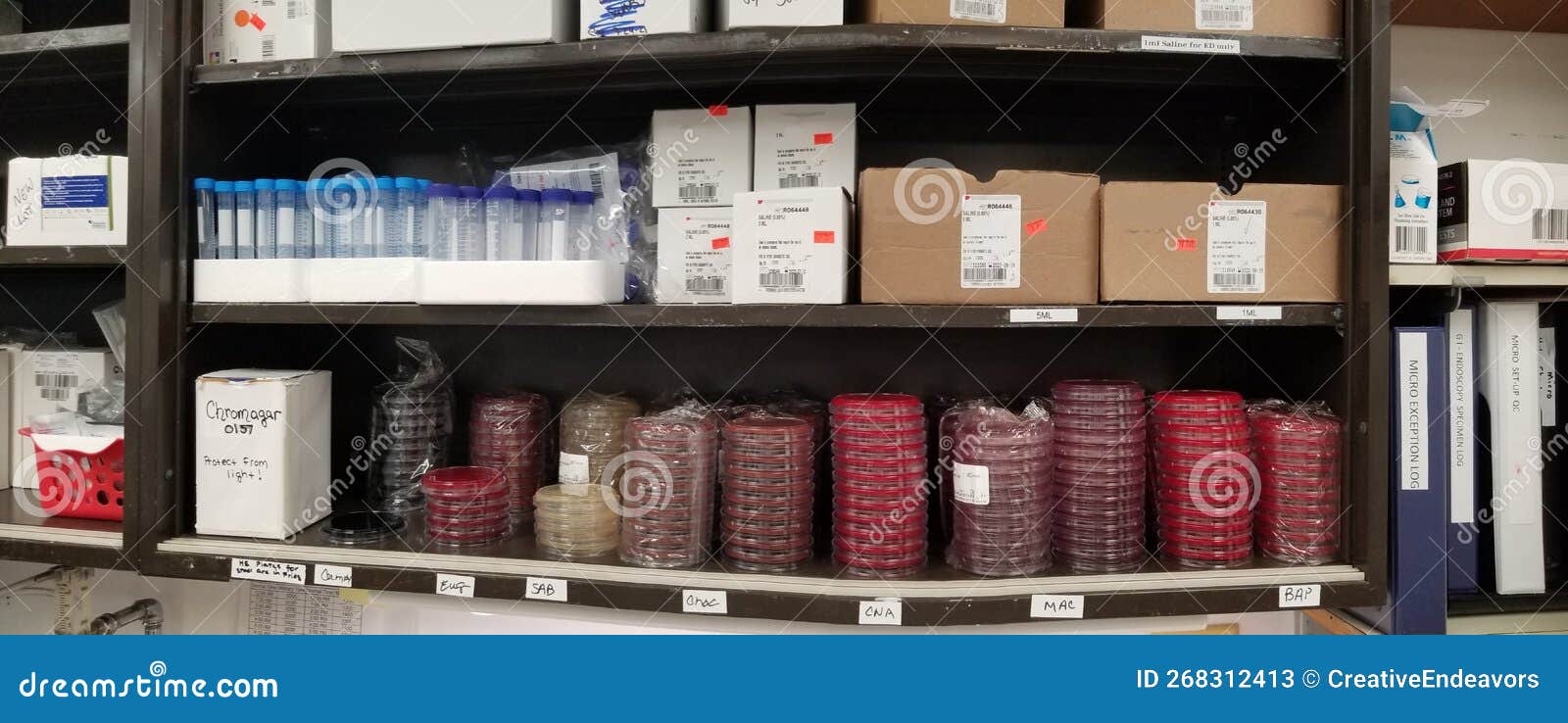 Different Types of New Agar Plates on Laboratory Shelf Stock Image ...