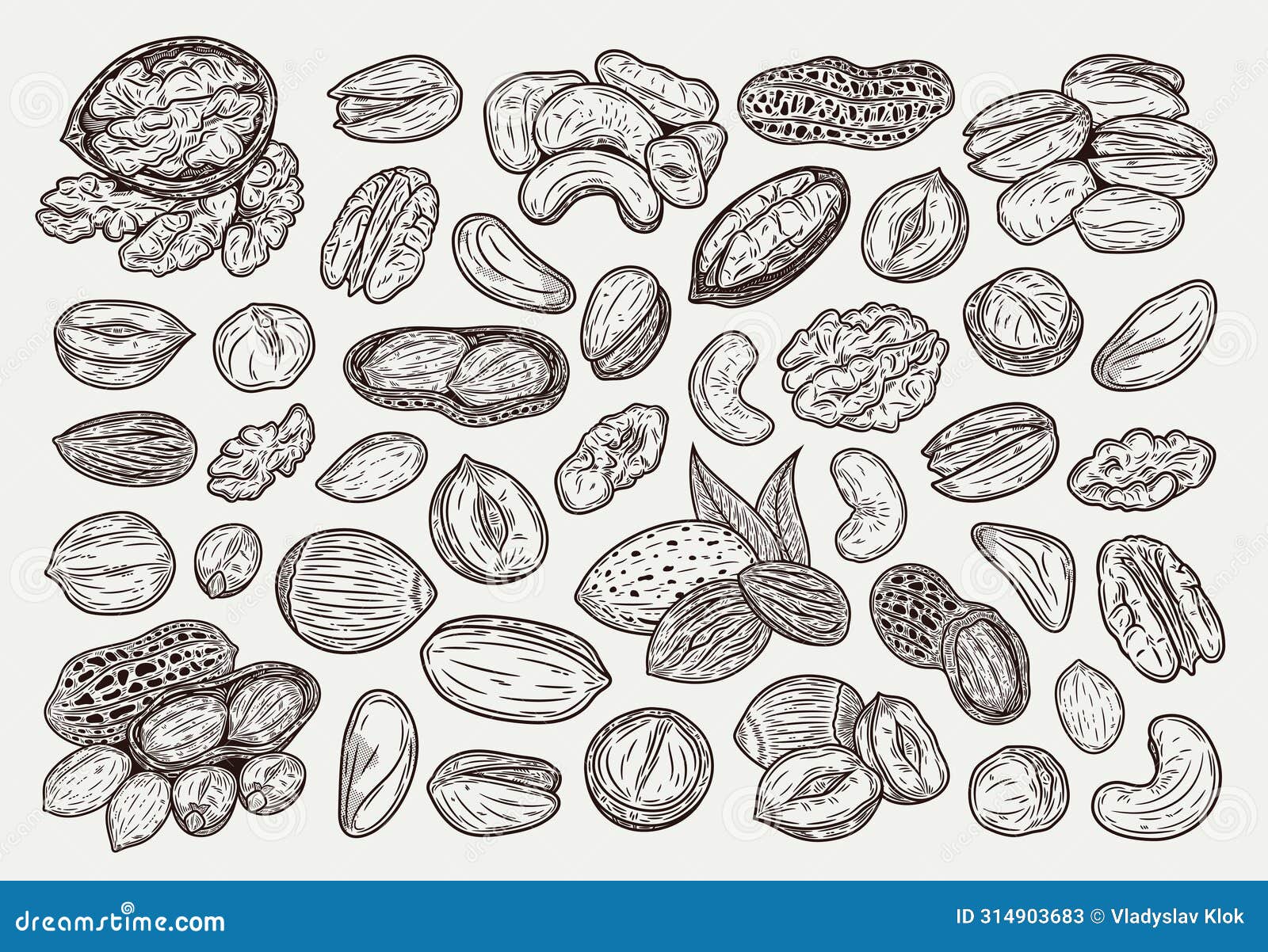 Different Types of Nuts Detailed Icons Stock Vector - Illustration of ...