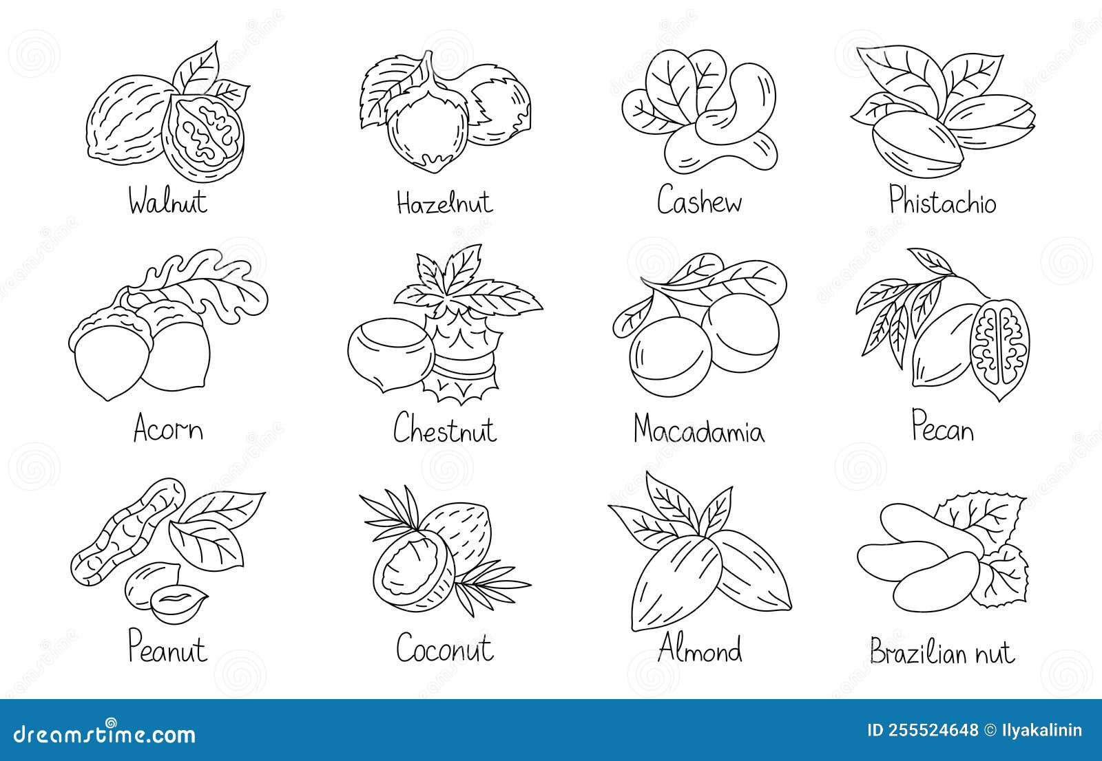Different Types of Nuts. Set of Outline Icons. Editable Stroke Size ...