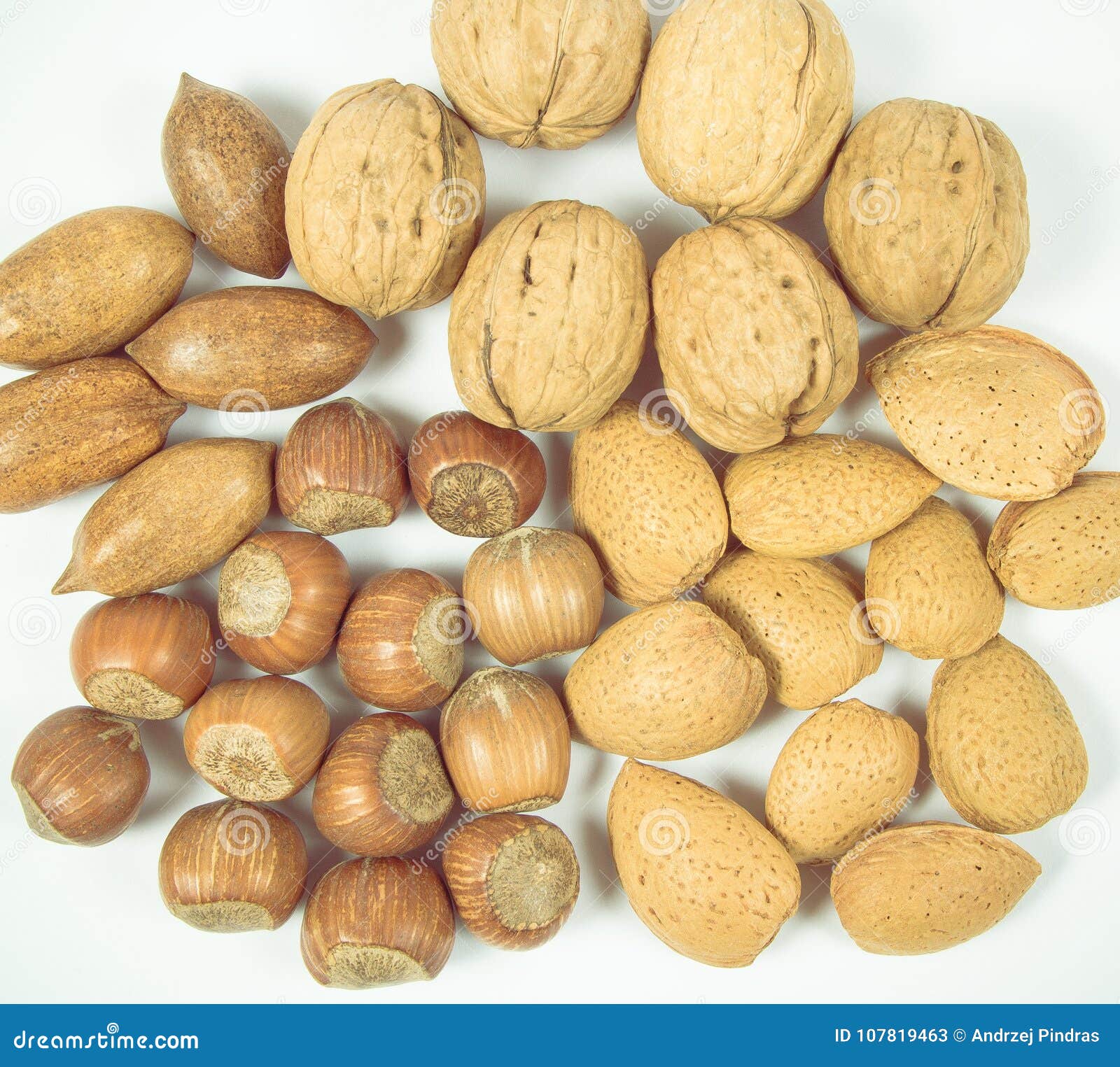 Different Types of Nuts in a Shell on a White Background. Stock Image ...