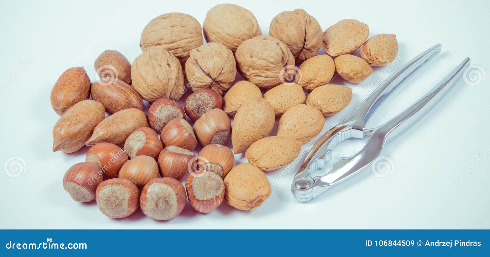 Different Types of Nuts in a Shell on a White Background. Stock Image ...