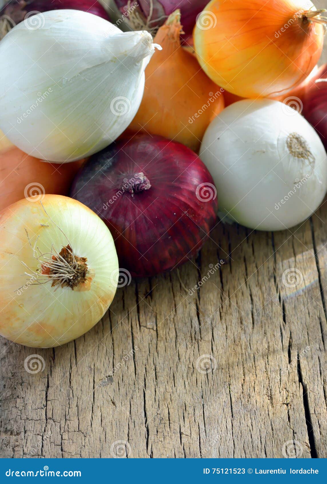 Different types of onion stock image. Image of spice - 75121523