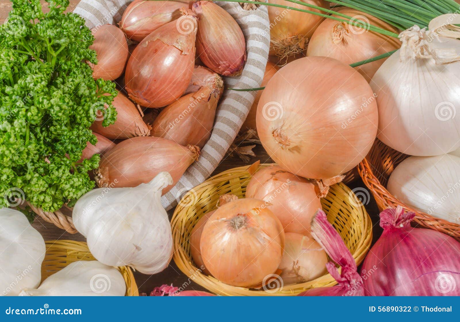 Different Types of Onions, Garlic and Shallots Stock Photo - Image of ... Different Types of Onions, Garlic and Shallots Stock Photo - Image of ...