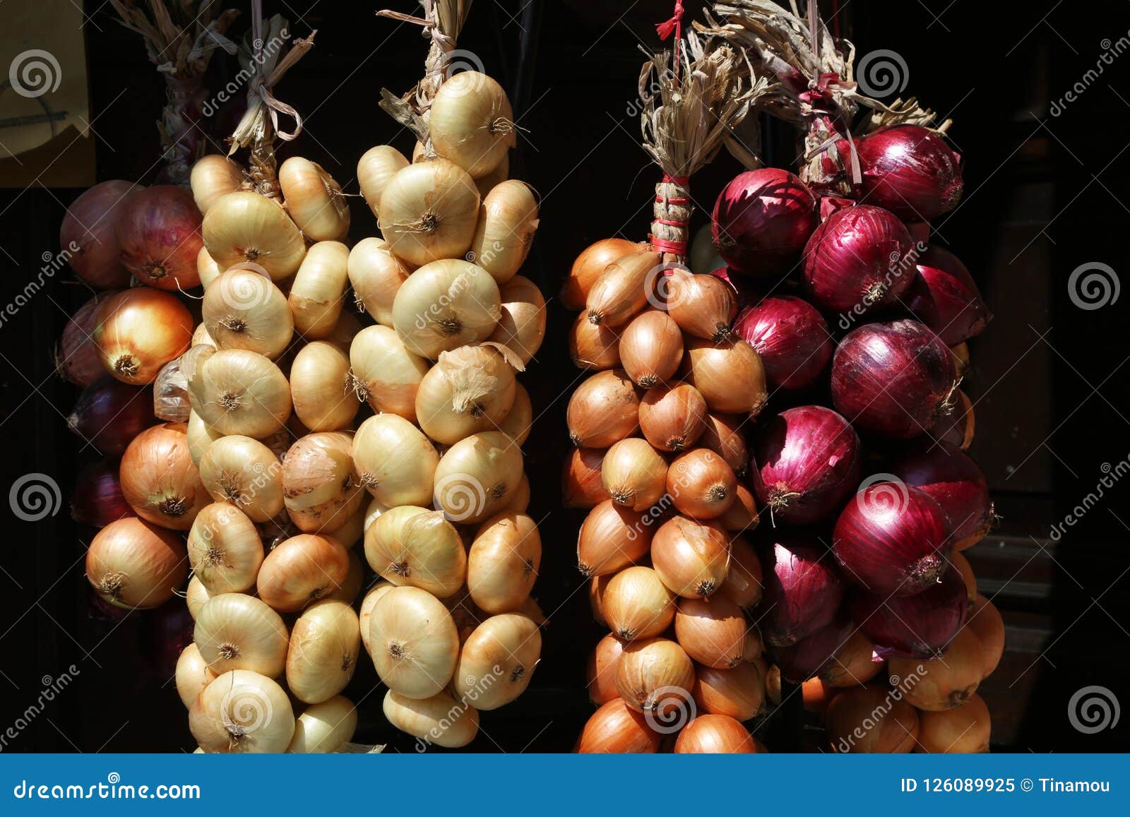 Different Types of Onions, Central Italy Stock Image - Image of ...