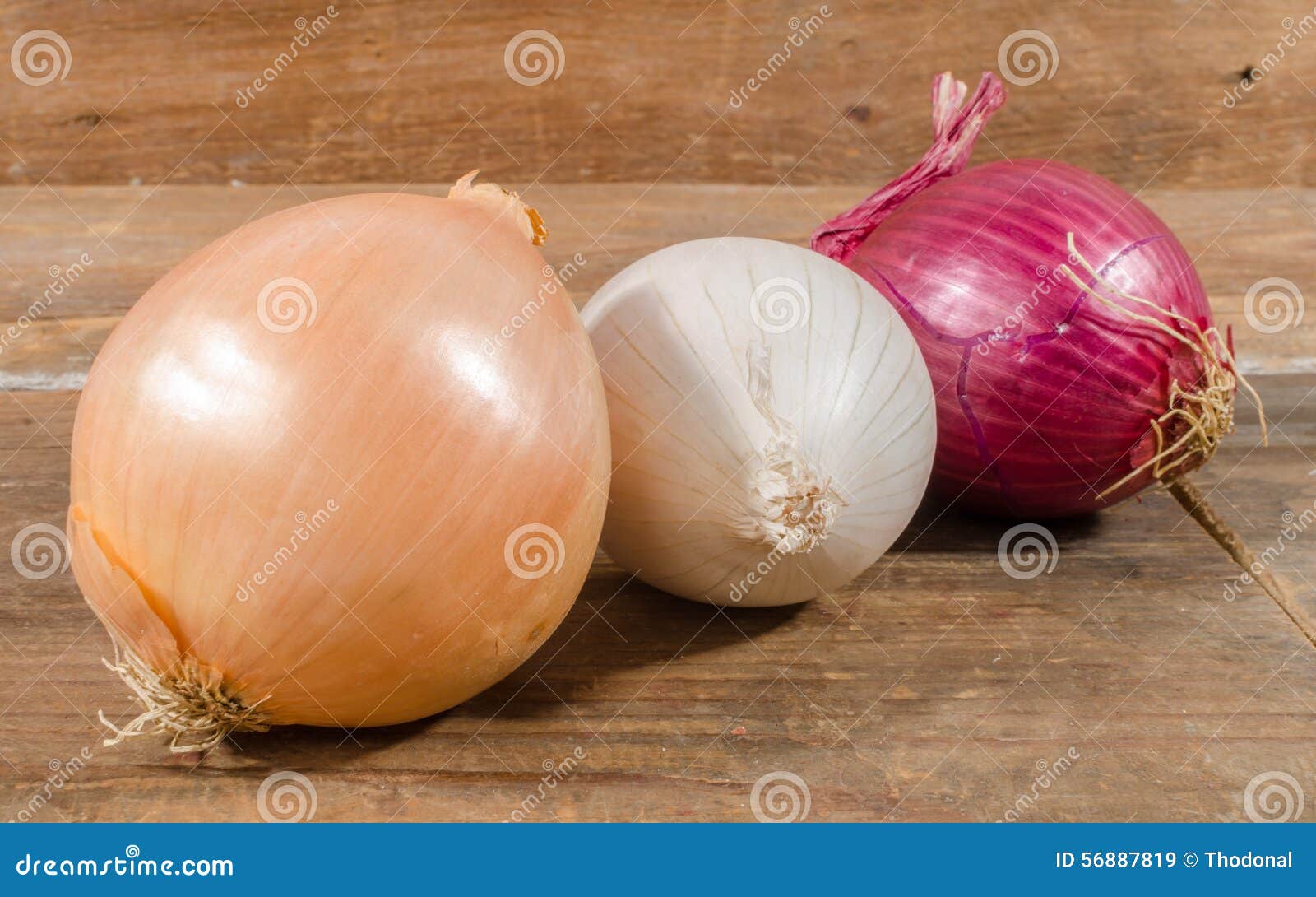Different types of onions stock image. Image of fresh - 56887819