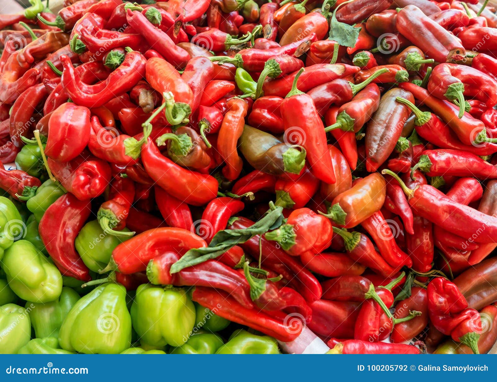 Different types of pepper stock photo. Image of texture - 100205792