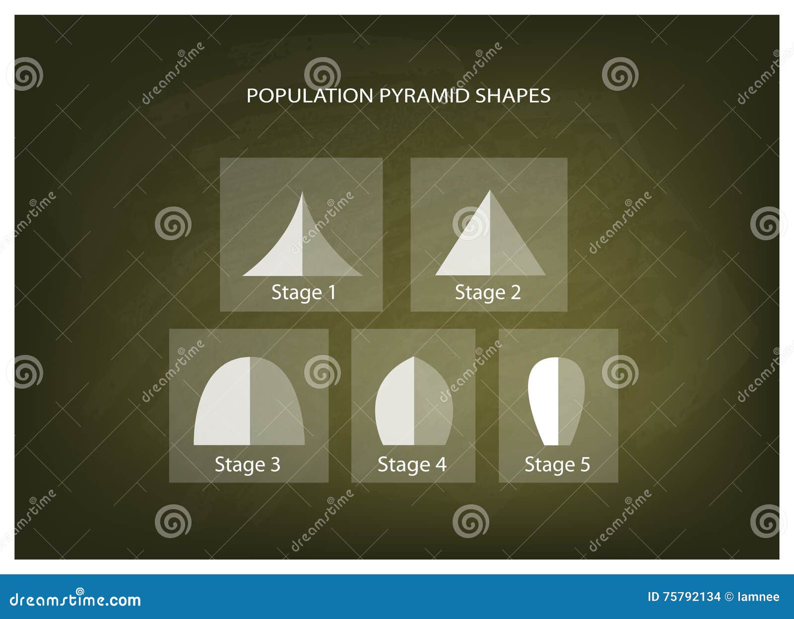 Different Types Of Population Pyramids On Chalkboard Background Stock Vector Illustration Of