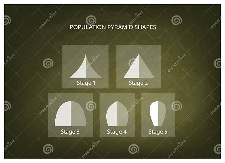 Different Types of Population Pyramids on Chalkboard Background Stock ...
