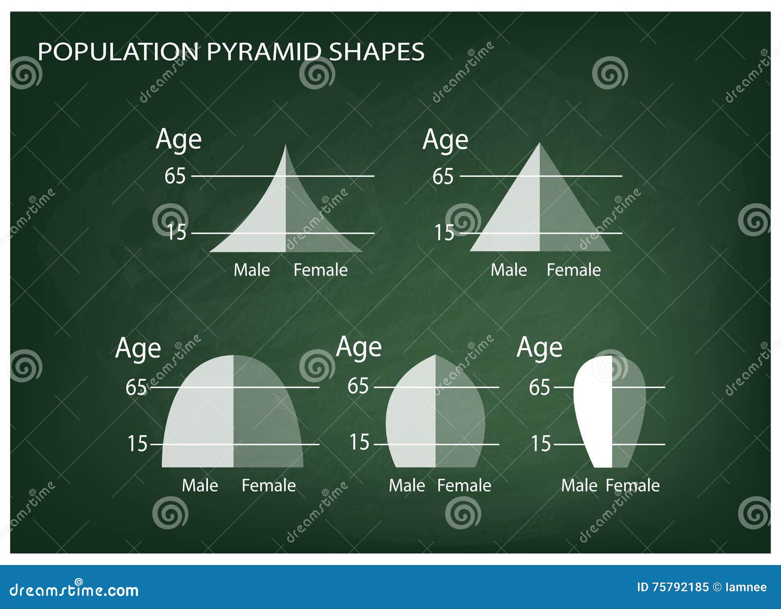 Different Types Of Population Pyramids On Chalkboard Background Cartoon Vector Cartoondealer