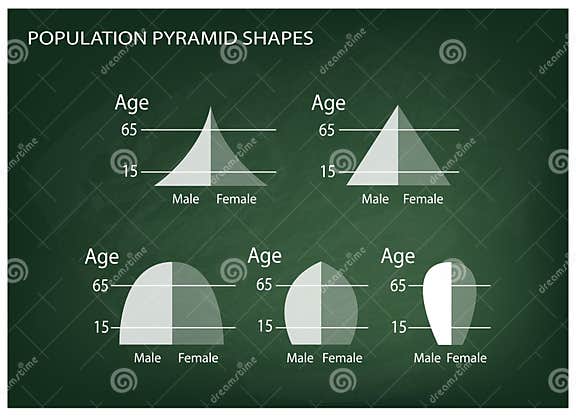 Different Types of Population Pyramids on Chalkboard Background Stock ...
