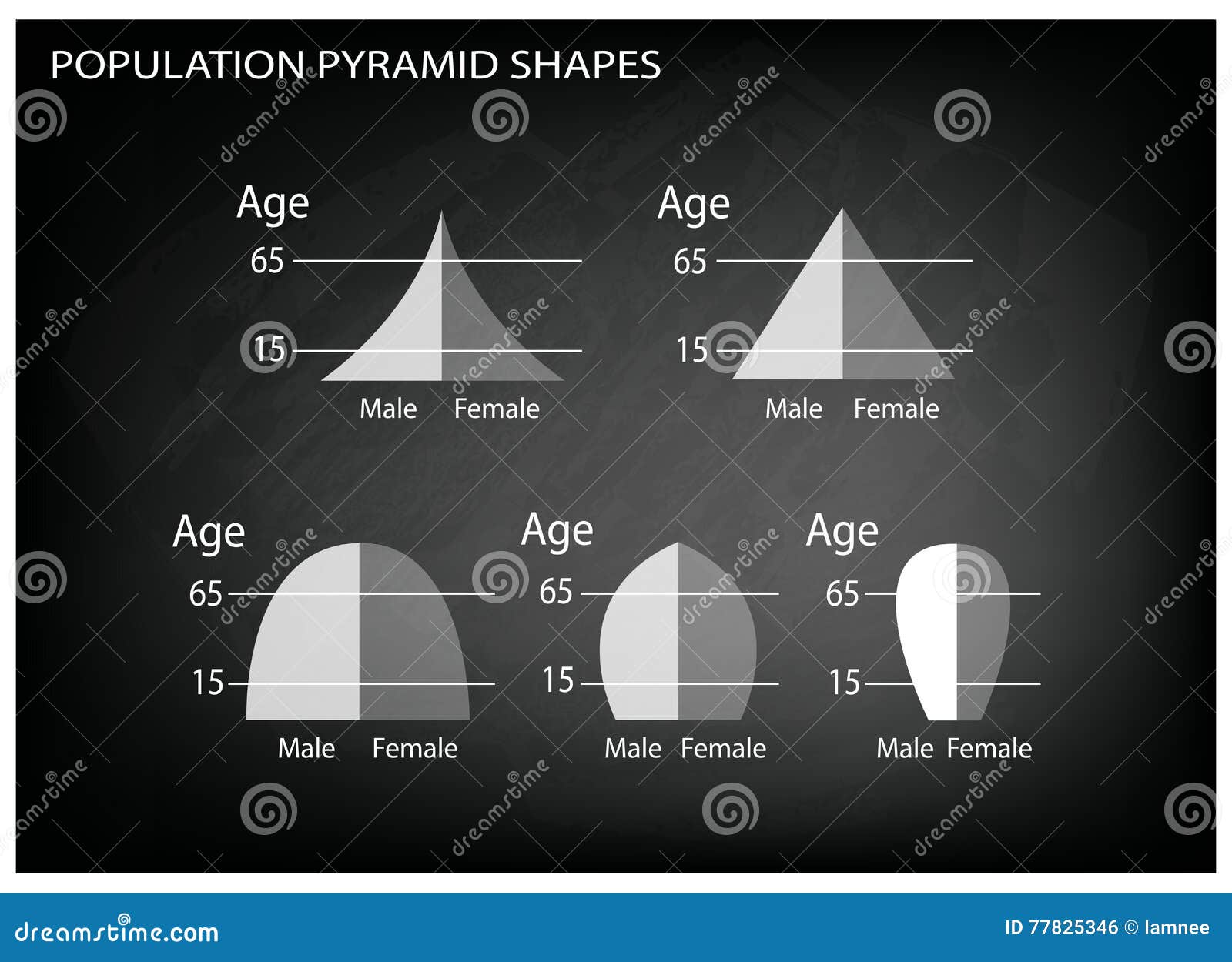Different Types of Population Pyramids on Chalkboard Background Stock ...