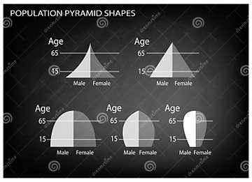 Different Types of Population Pyramids on Chalkboard Background Stock ...