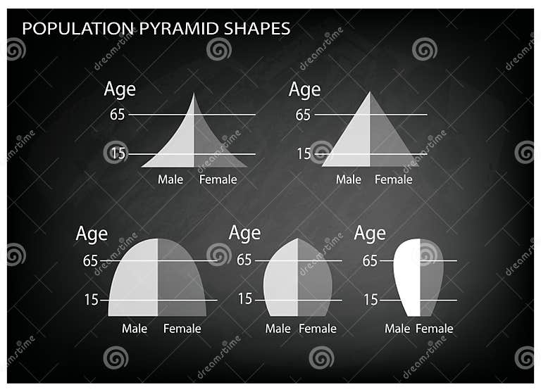Different Types of Population Pyramids on Chalkboard Background Stock ...