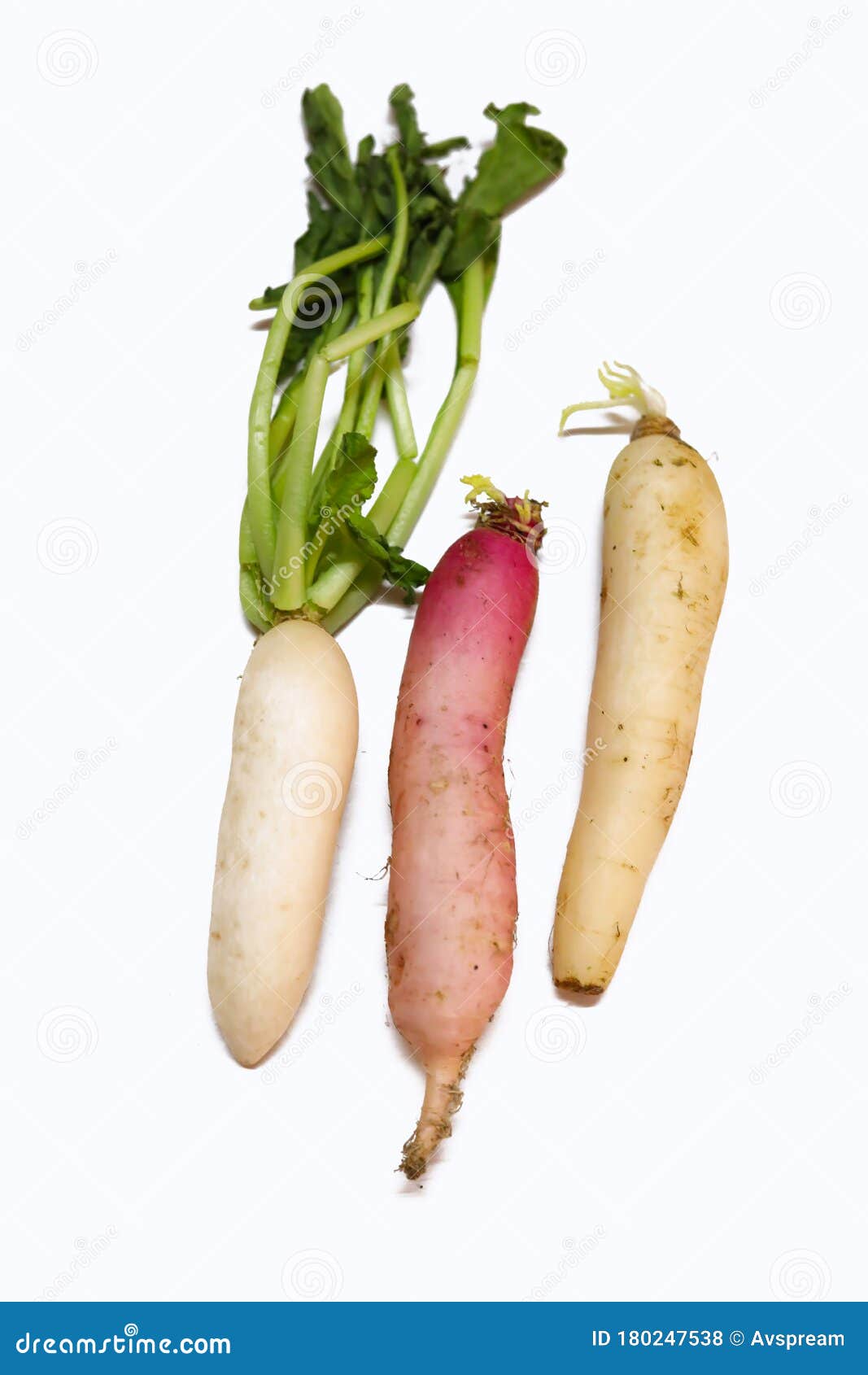 Different Types of Radish are Isolated on a White Background, Top View ...