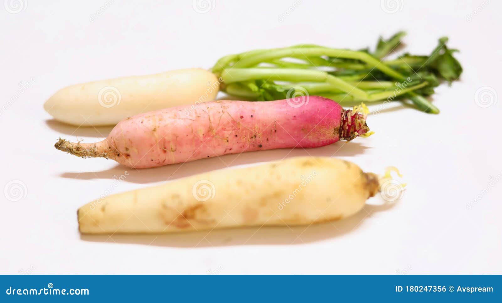 Different Types of Radish are Isolated on a White Background Stock ...