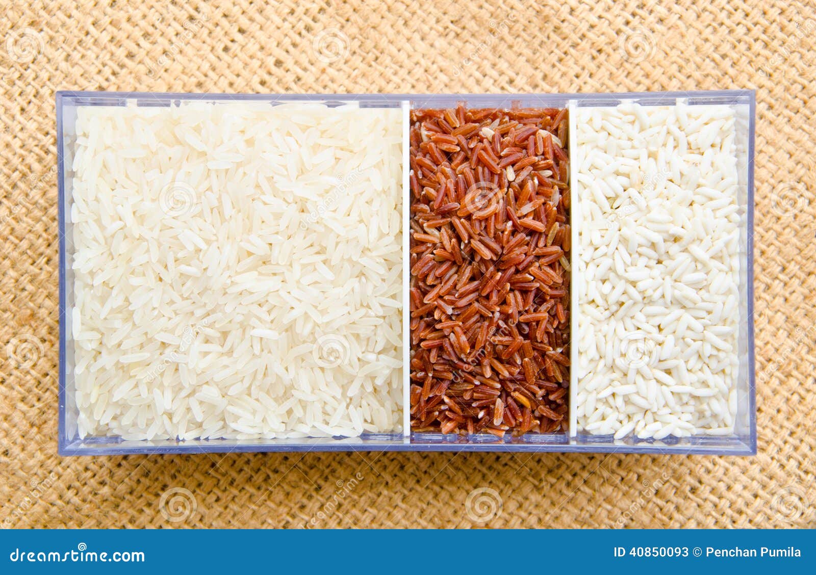 Different Types of Raw Brown Rice, Raw Sticky Rice and Raw Rice Stock ...