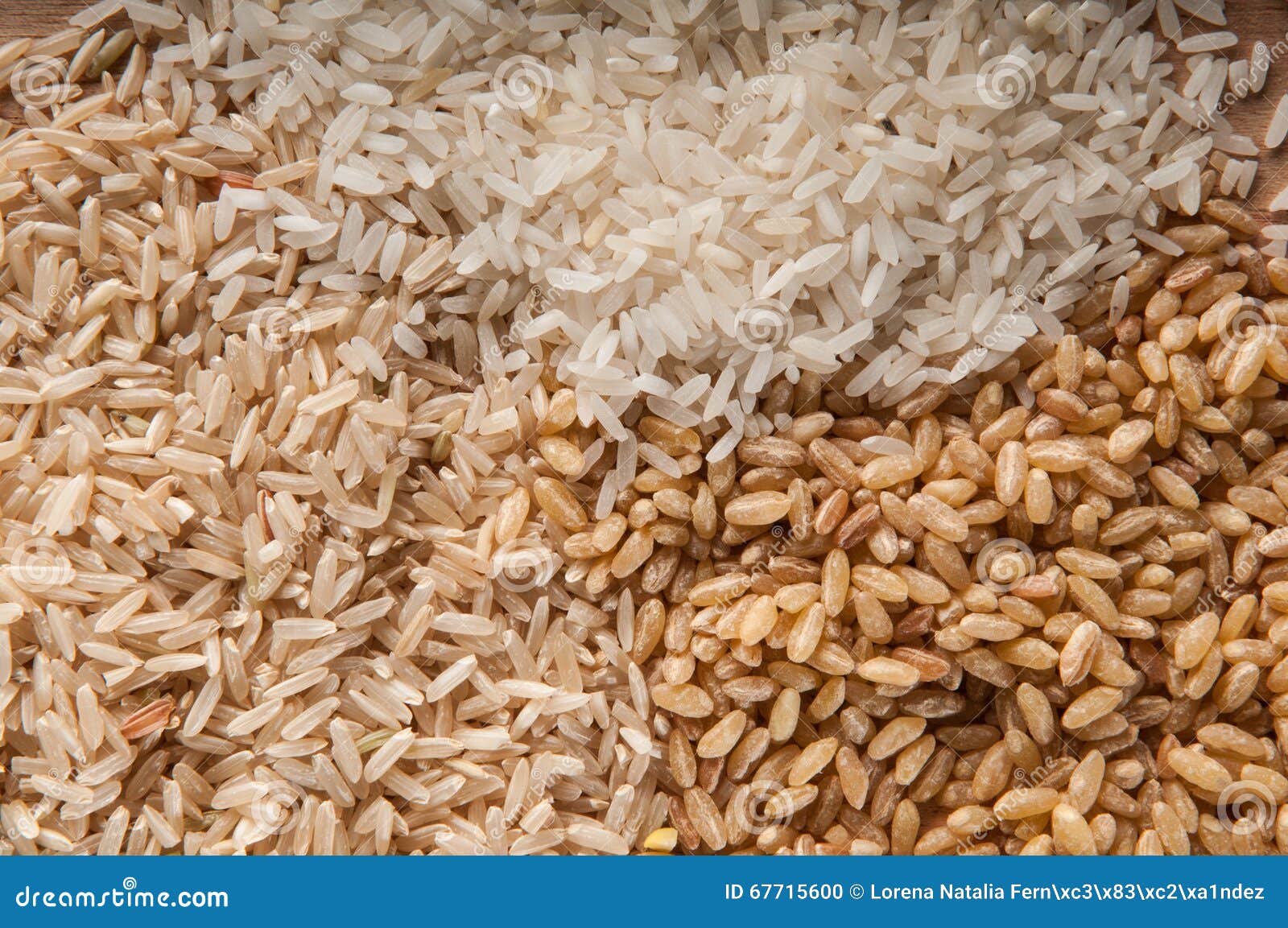 Different types of rice stock photo. Image of flour, dinner - 67715600