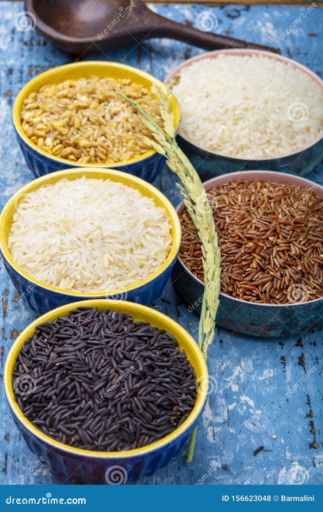 Different Types of Rice, White Basmati, Jasmine, Arborio, Brown and ...
