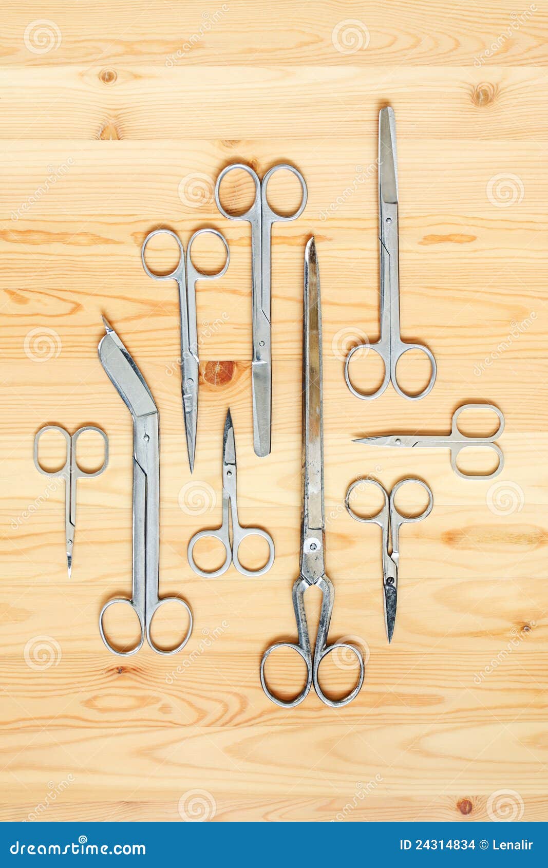 Different Types of Scissors Stock Photo - Image of metall, wood: 24314834