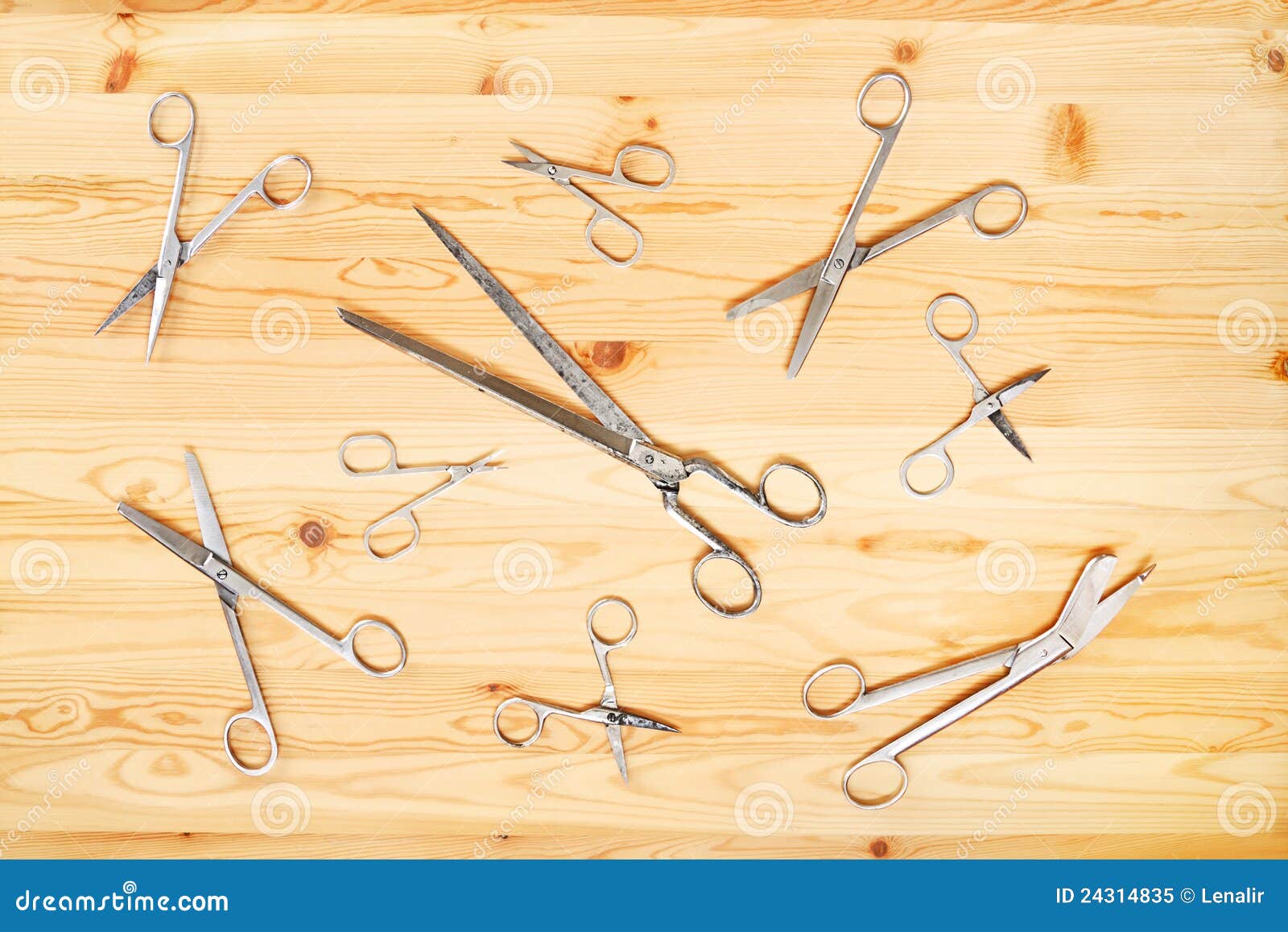 Different Types of Scissors Stock Image - Image of nail, tool: 24314835