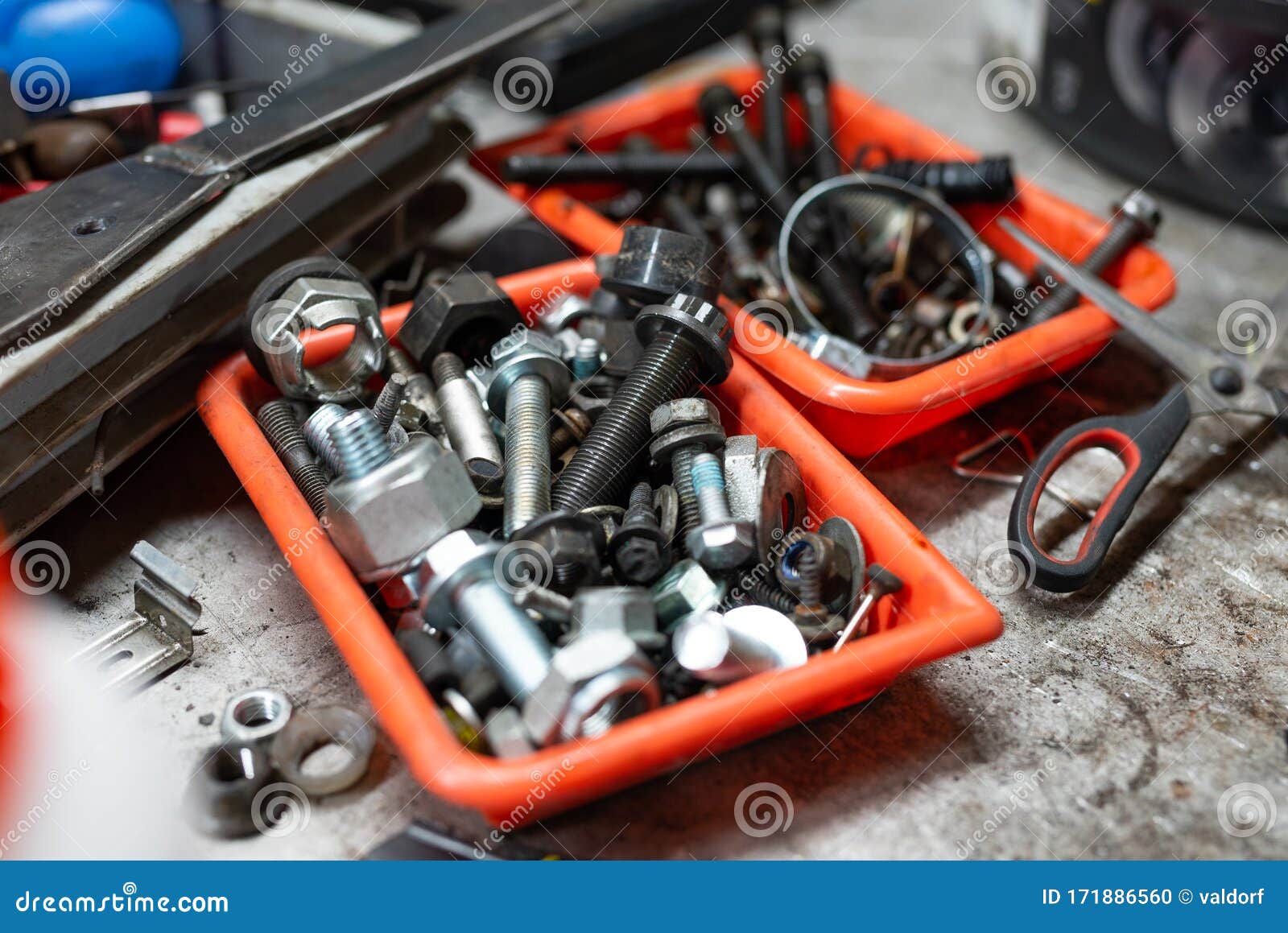 Different Types of Screws in a Plastic Box Stock Photo - Image of ...