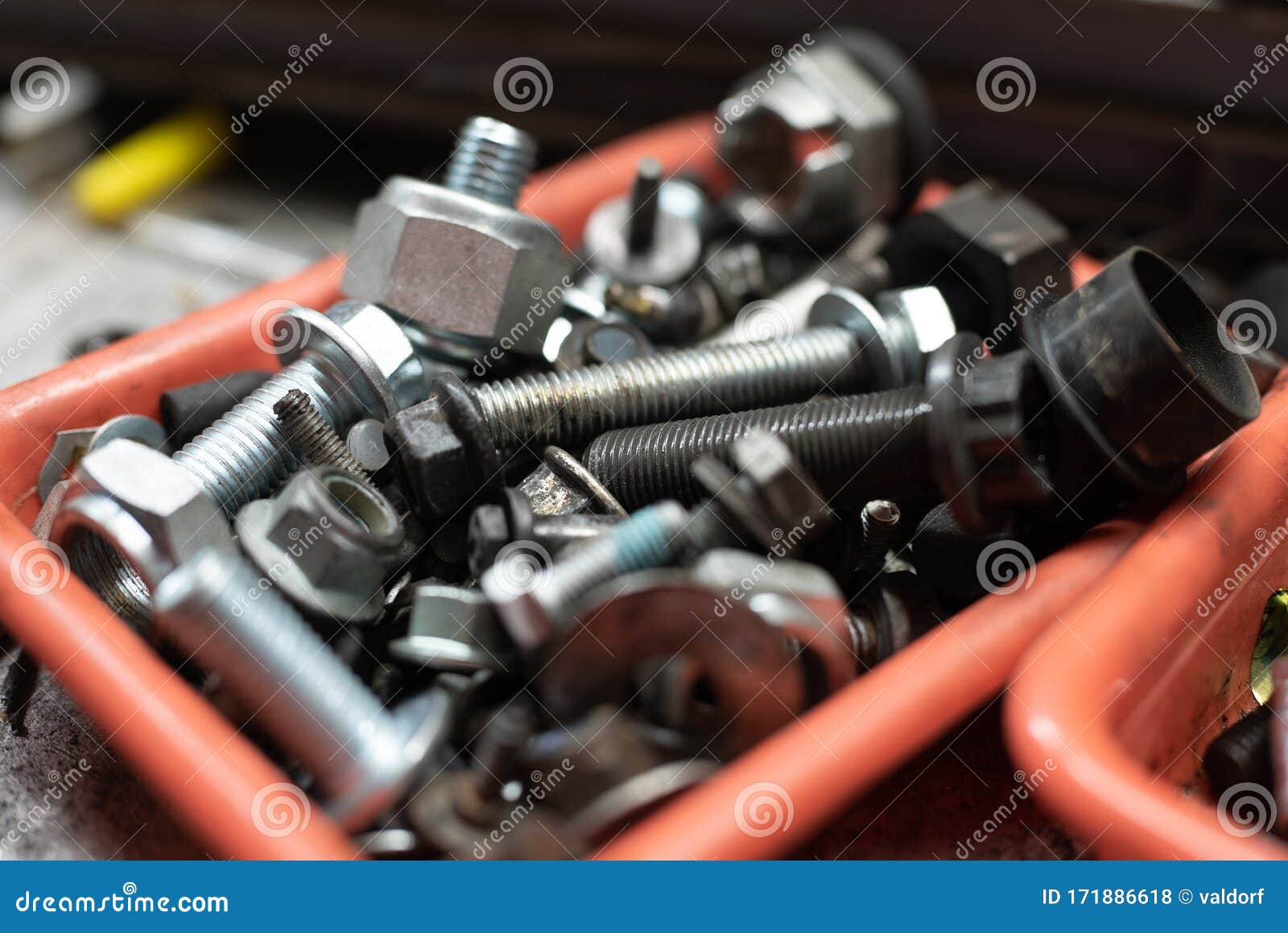 Different Types of Screws in a Plastic Box Stock Photo - Image of ...