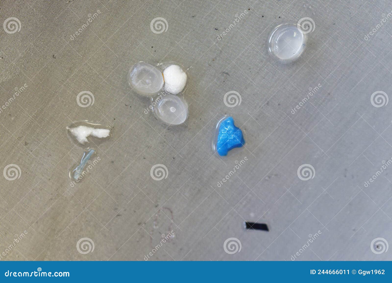 Microplastics on a sieve stock image. Image of micro - 244666011