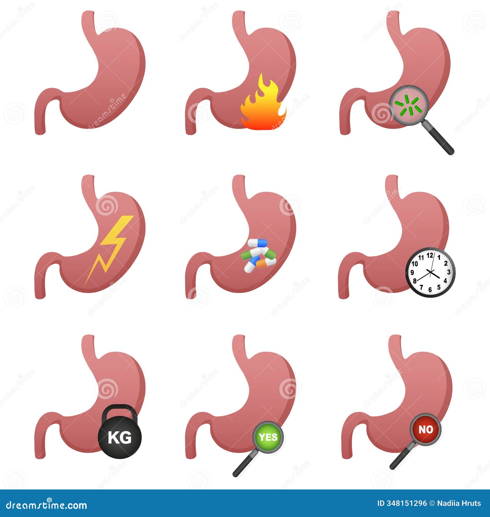 Different Types of Stomach Disease. Vector Stock Illustration ...