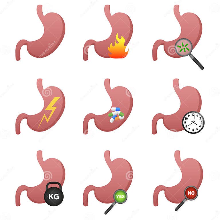 Different Types of Stomach Disease. Vector Stock Illustration ...