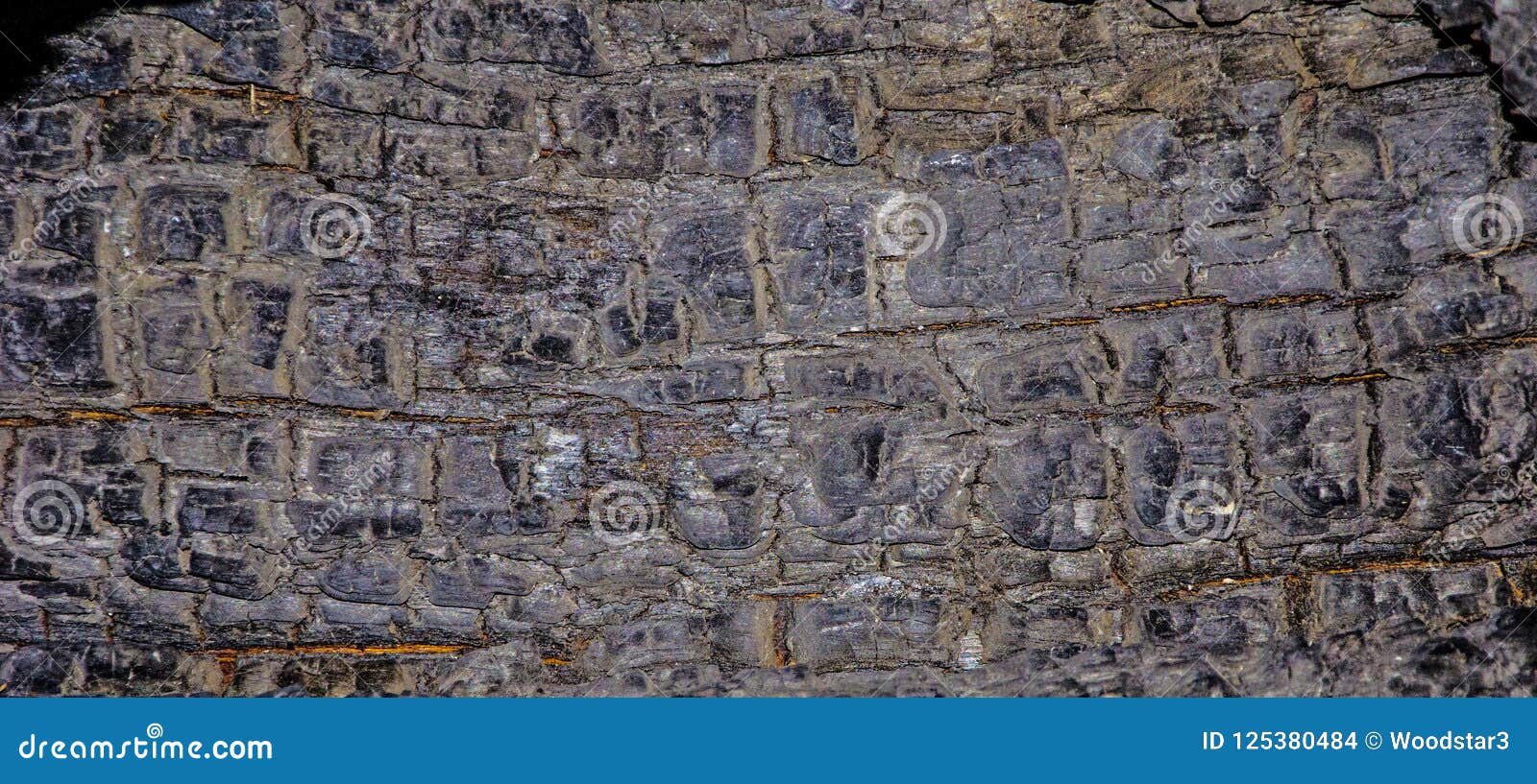 Wood Texture. Texture Relief. Breeds of Solid Wood. Stock Photo - Image ...