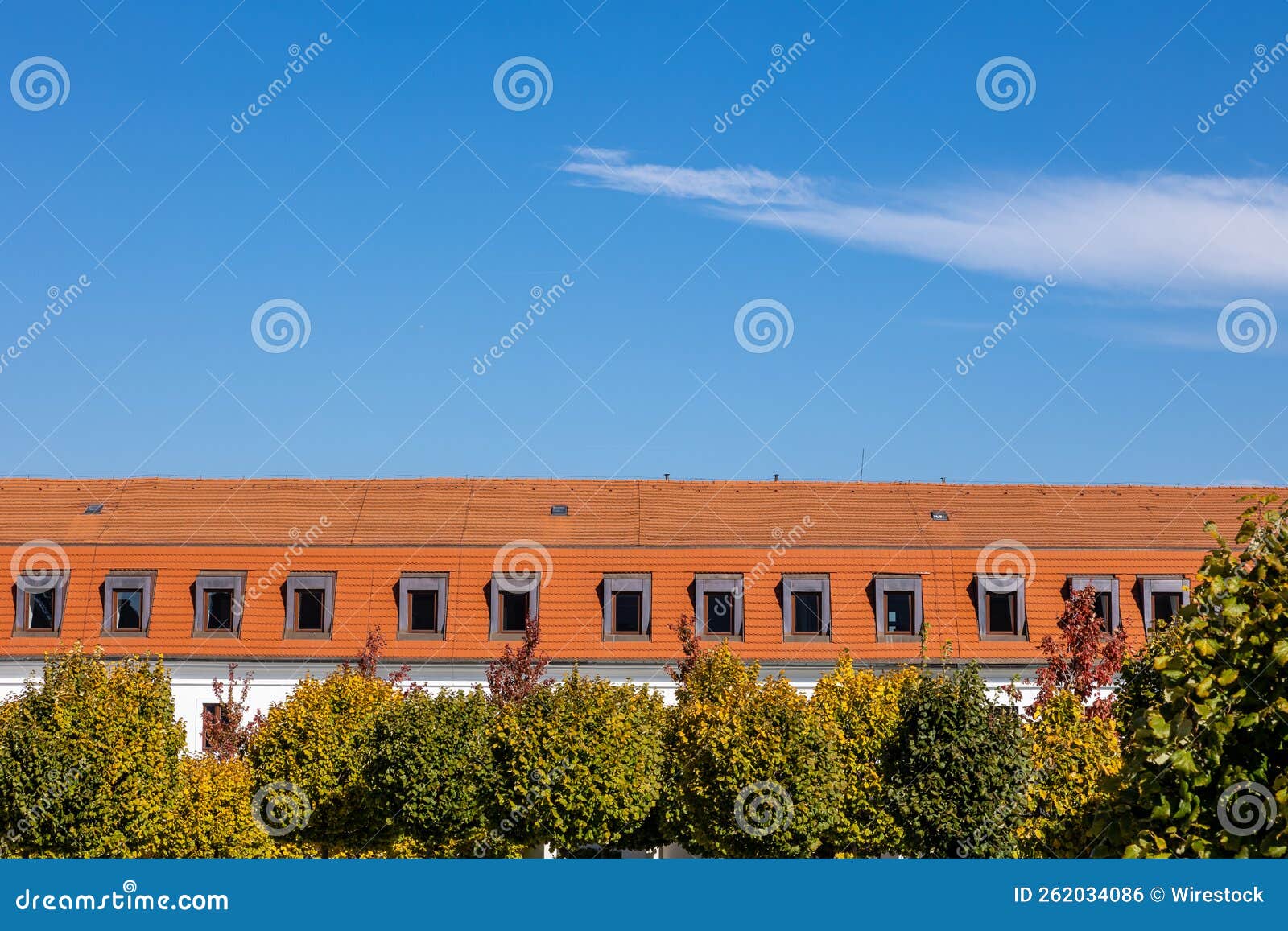 Different Types of Trees in the Background of the Building. Stock Photo ...