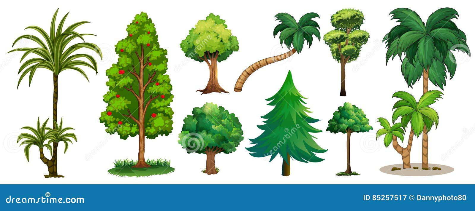 Types Of Trees Pattern, Cartoon Style Vector Illustration ...