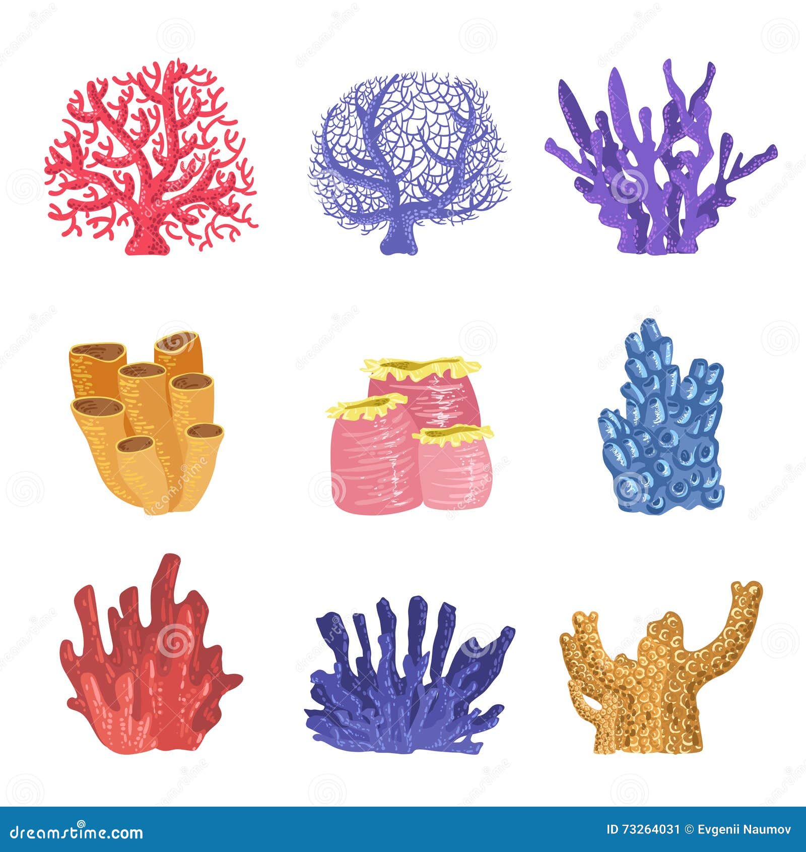 Coral Detailed Feathers Of Bird Collection. Vector Decorative Fluffy ...