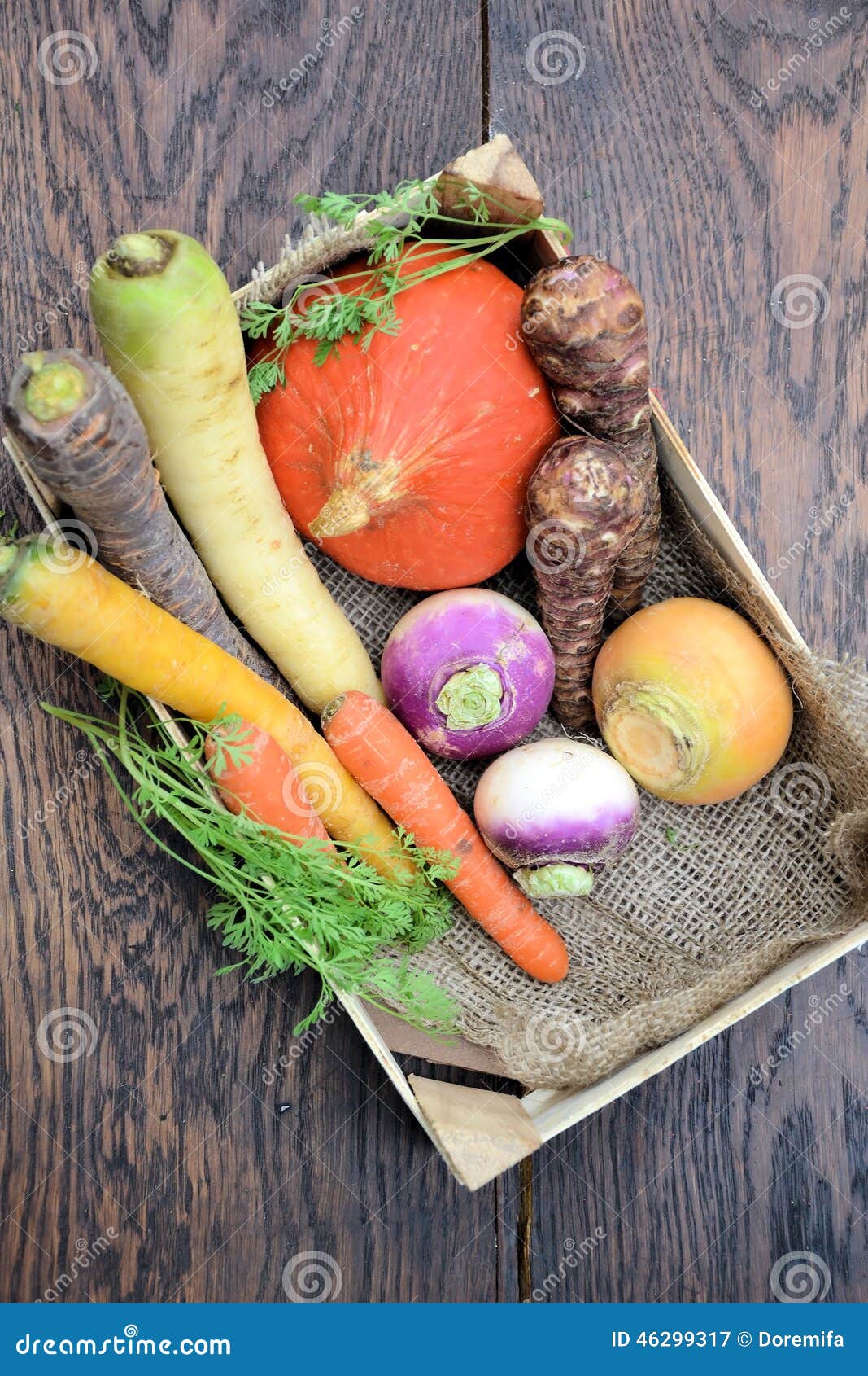 Different Types of Vegetables Stock Image - Image of garden, farmer ...